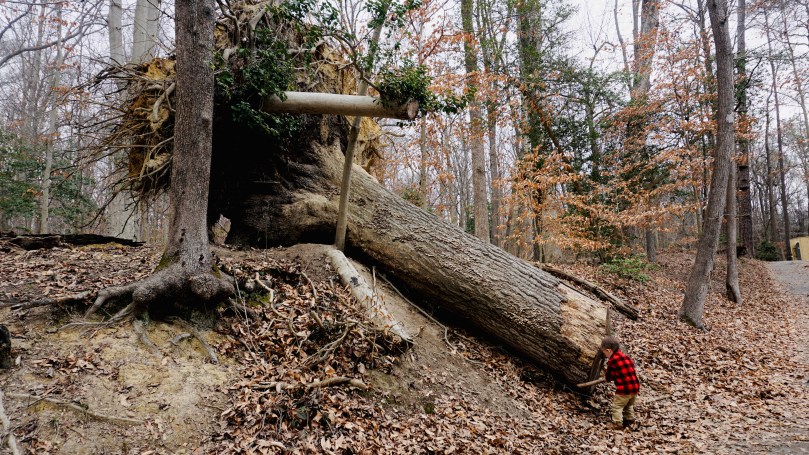 R. Garland Dodd Park at Point of Rocks – Chesterfield County, Virginia ...