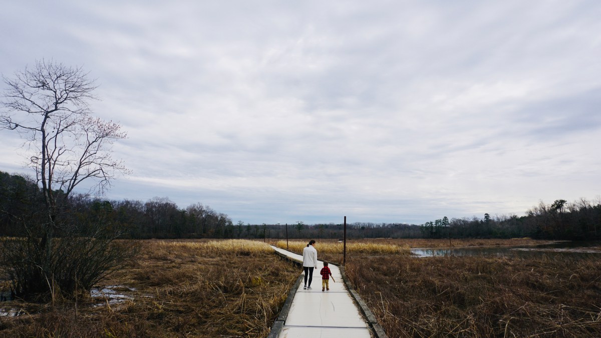 R. Garland Dodd Park at Point of Rocks – Chesterfield County, Virginia ...