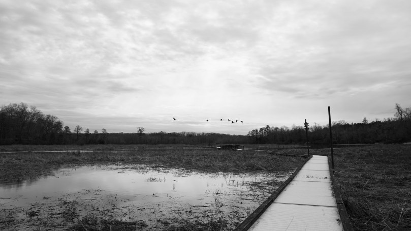R. Garland Dodd Park at Point of Rocks – Chesterfield County, Virginia ...