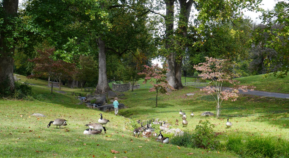 The Animals of Maymont park (video) – WAY NORTH