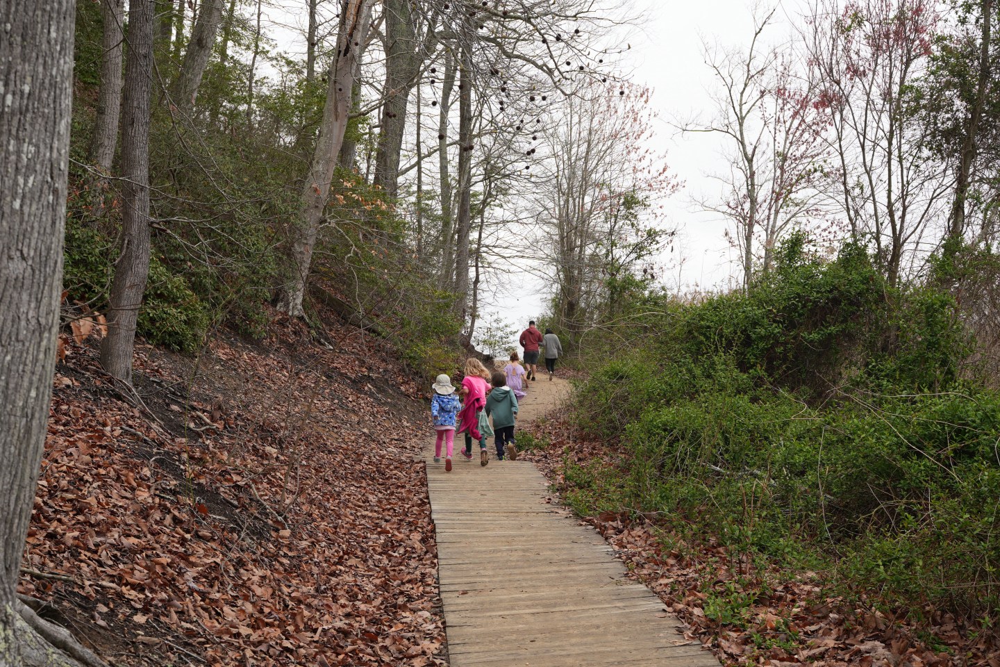 Shark Teeth Fossil Hunting in Virginia – Westmoreland State Park – WAY ...
