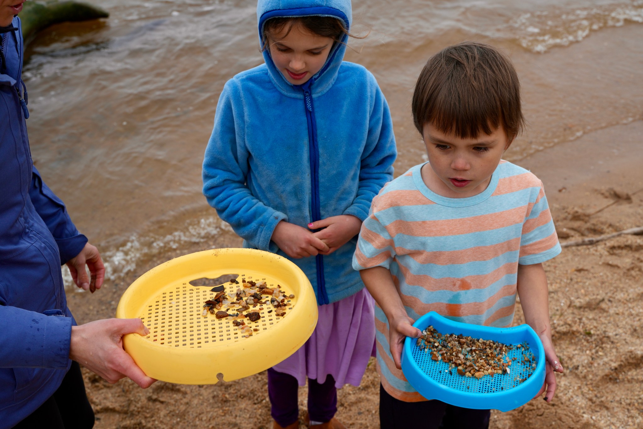Shark Teeth Fossil Hunting in Virginia – Westmoreland State Park – WAY ...