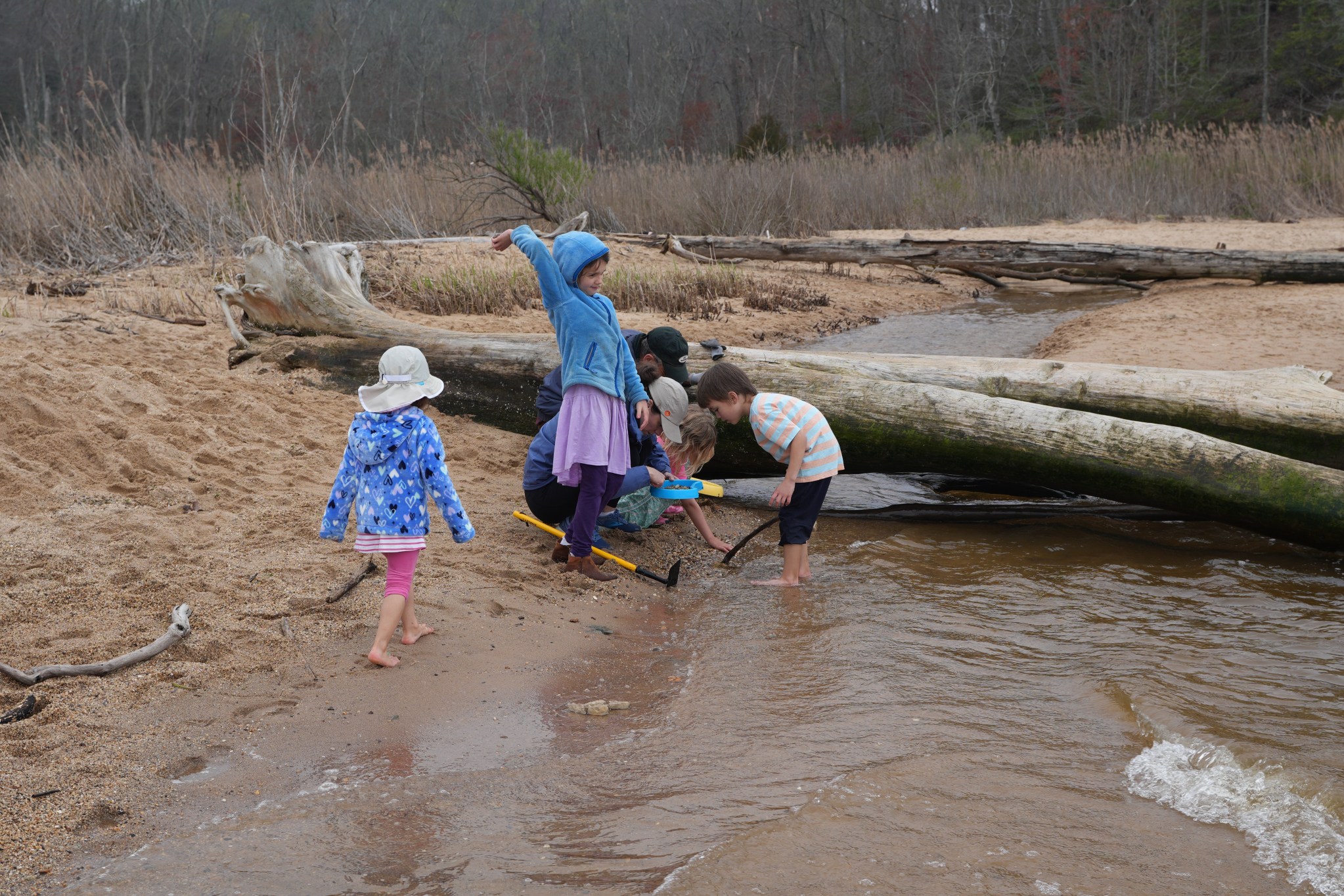 Shark Teeth Fossil Hunting in Virginia – Westmoreland State Park – WAY ...