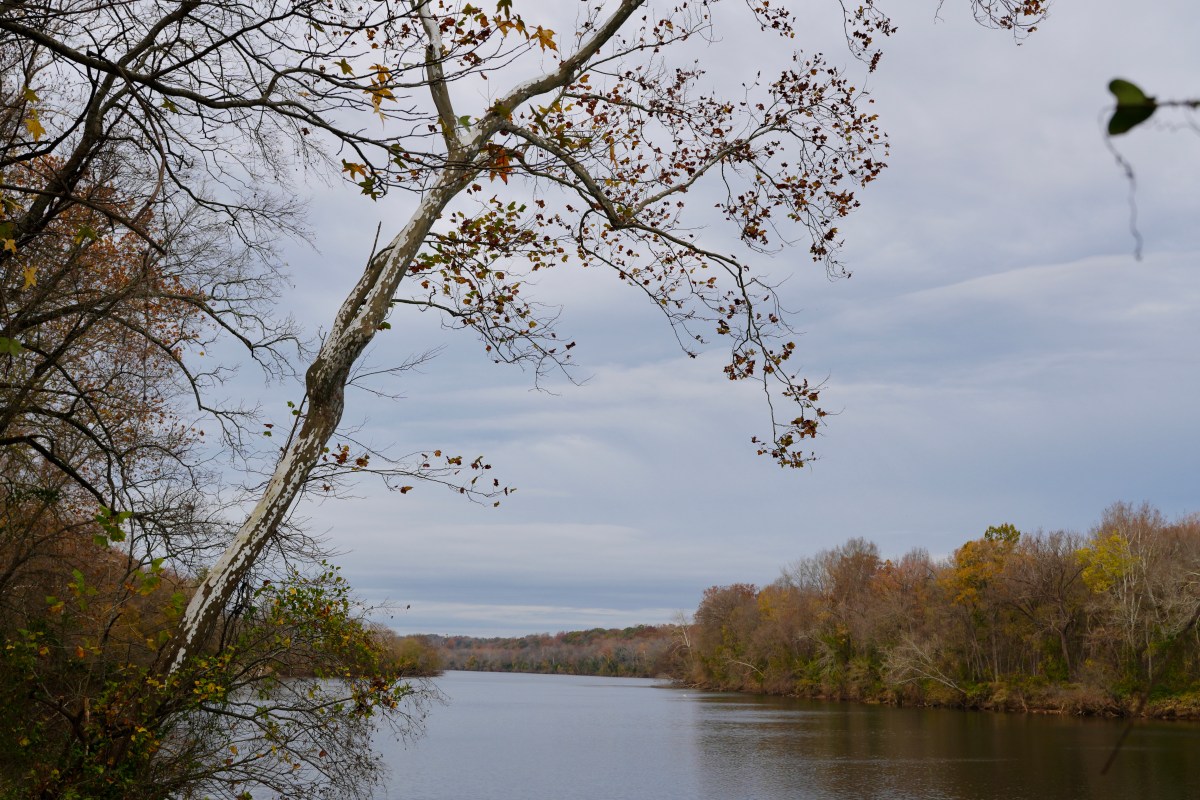 Fall time 2024 – Robious Landing and Joseph Bryan Park – WAY NORTH